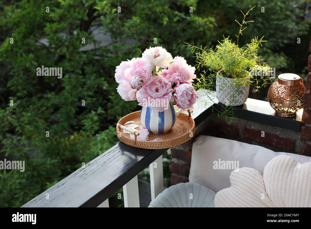 Beautiful pink peony flowers in vase and potted plant on balcony ...