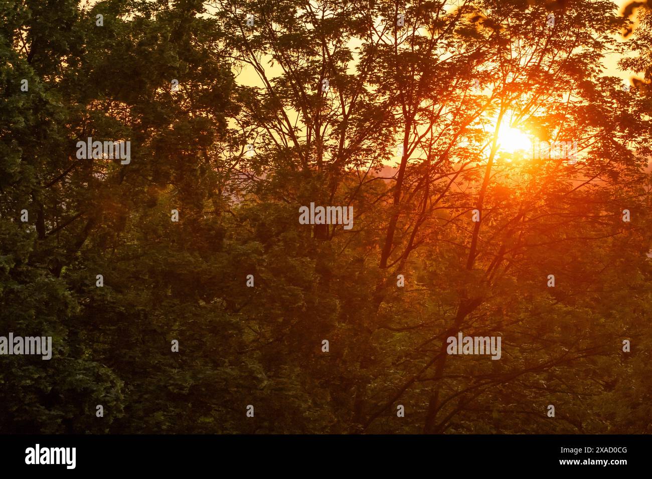 Sunrise, Rosensteinpark, Stuttgart, Baden-Wuerttemberg Stock Photo - Alamy
