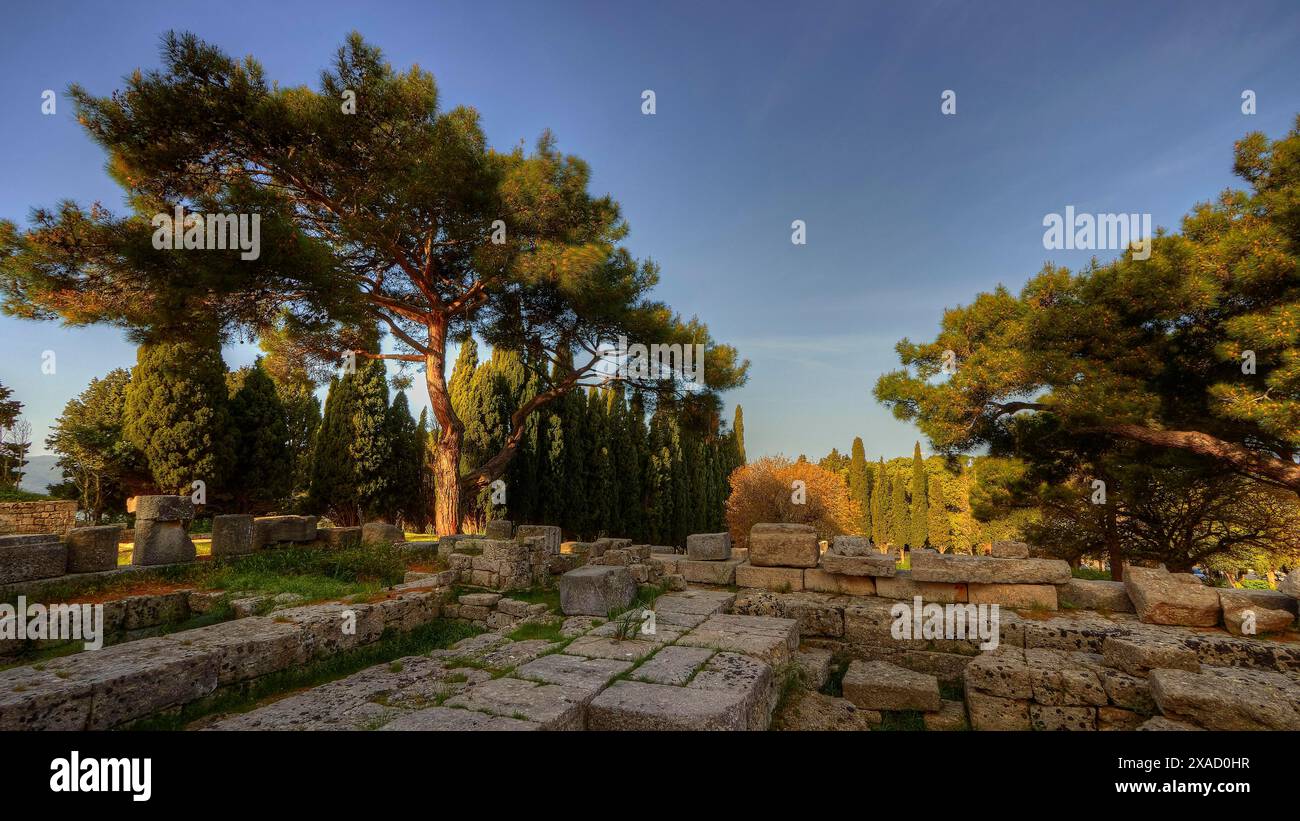 HDR Photo, Remains of Athena Polias Temple, Ancient ruins and trees ...