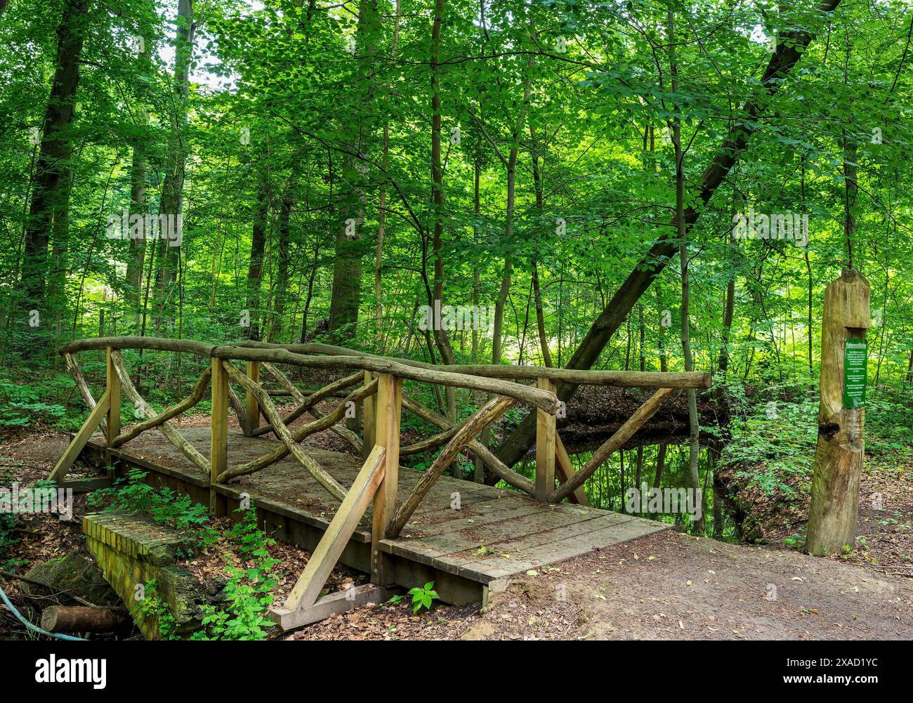 Landscape at Hellsee in Lanke, Bernau, Brandenburg, Germany Stock Photo ...