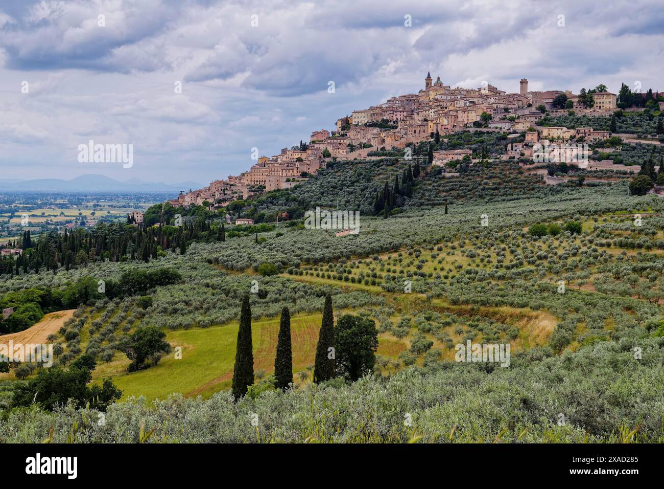 Trevi is a small Italian town in the province of Perugia in Umbria and ...