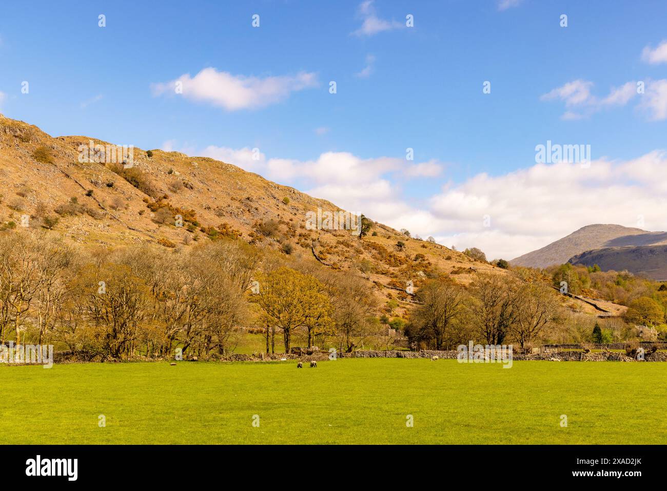 Landscape beauty viewed from Dalegarth station of the Ravensglass ...
