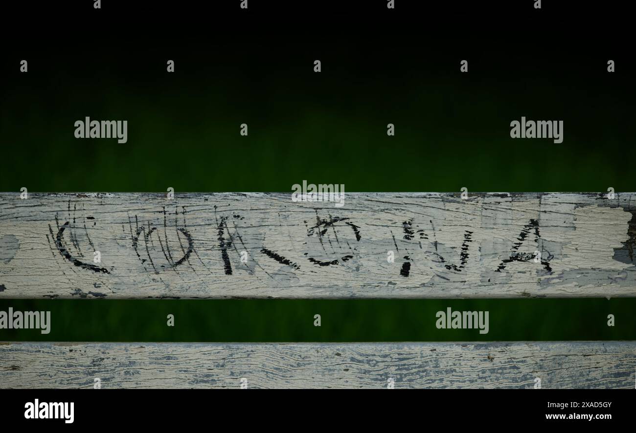 Detail of the backrest of a white wooden parking bench with handwritten ...
