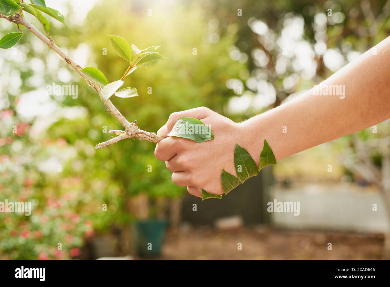 Nature, partnership and shaking hands with tree for ecology ...