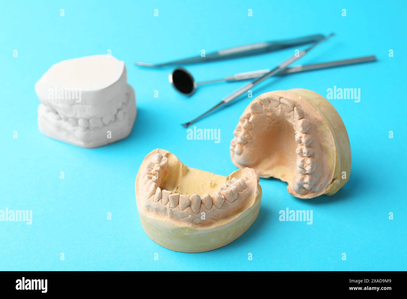 Dental models with gums and dentist tools on light blue background ...
