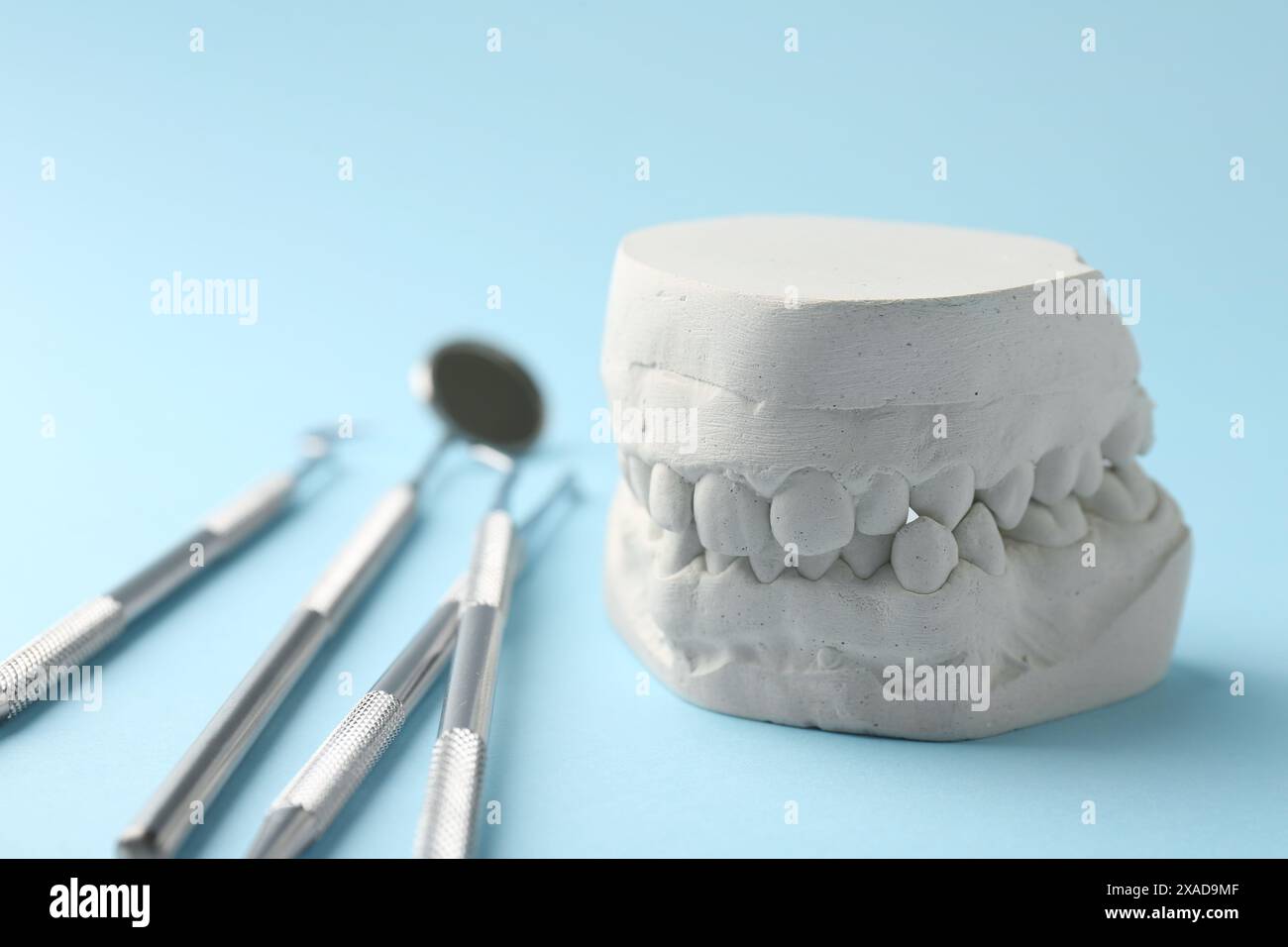 Dental model with gums and dentist tools on light blue background. Cast ...
