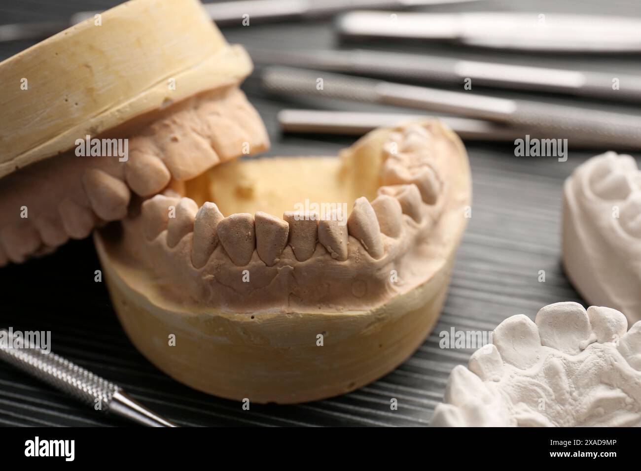 Dental models with gums and dentist tools on grey wooden table, closeup ...