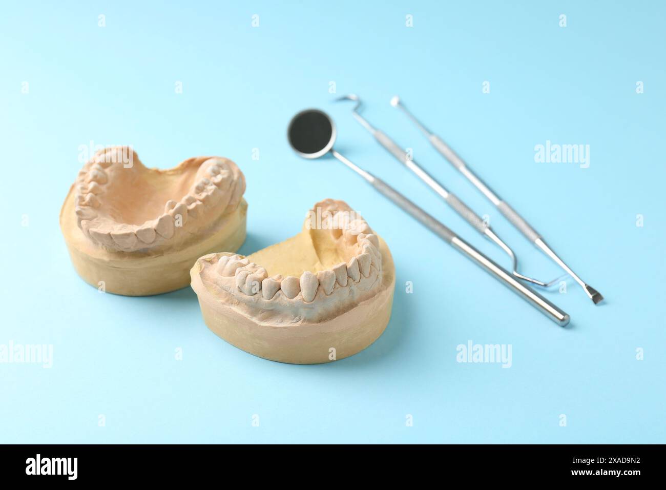 Dental model with gums and dentist tools on light blue background. Cast ...