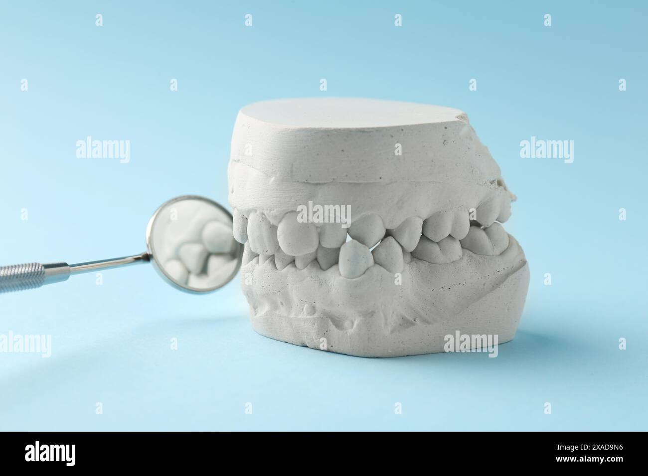 Dental model with gums and dentist mirror on light blue background ...