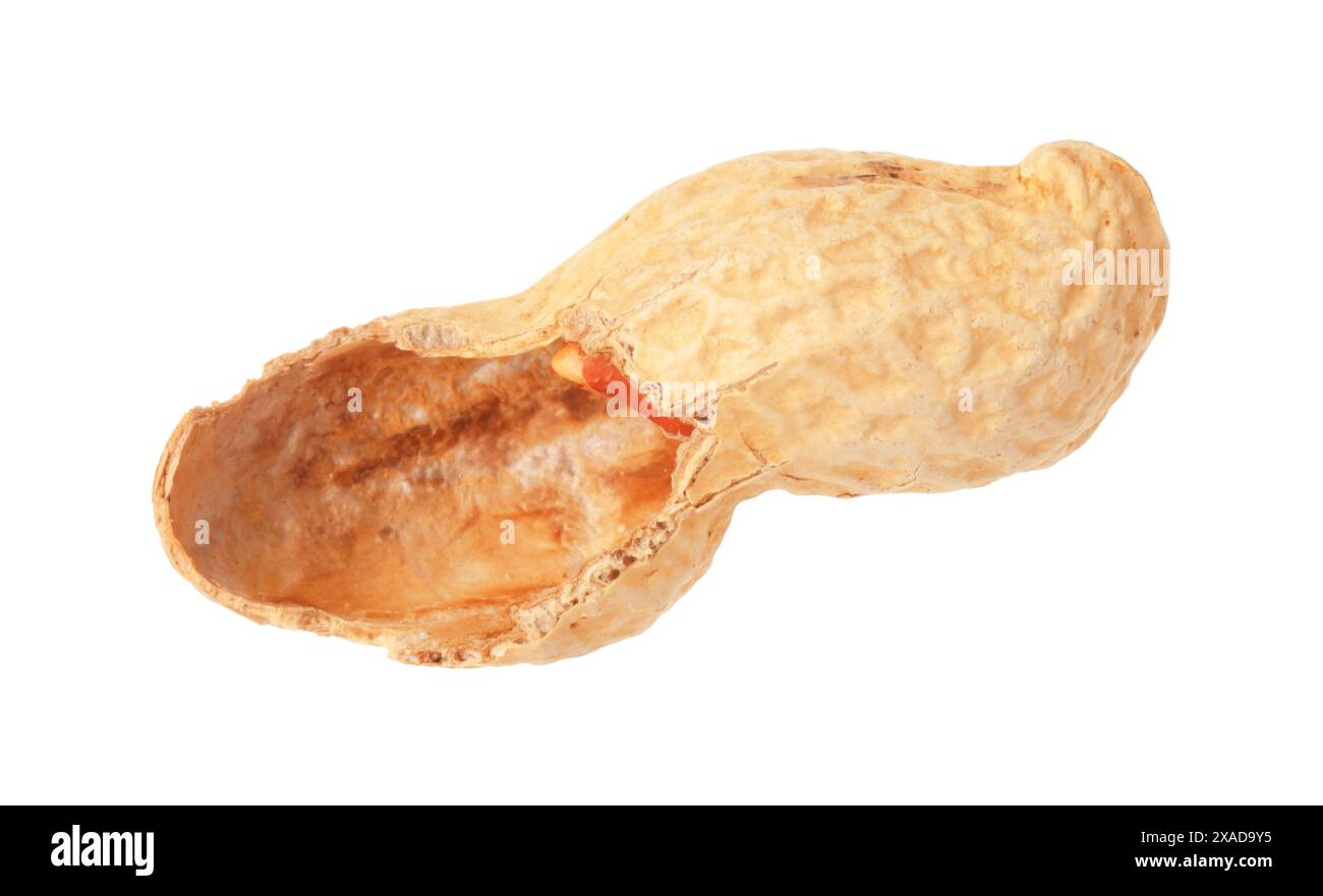 Broken raw peanut pod isolated on white Stock Photo - Alamy
