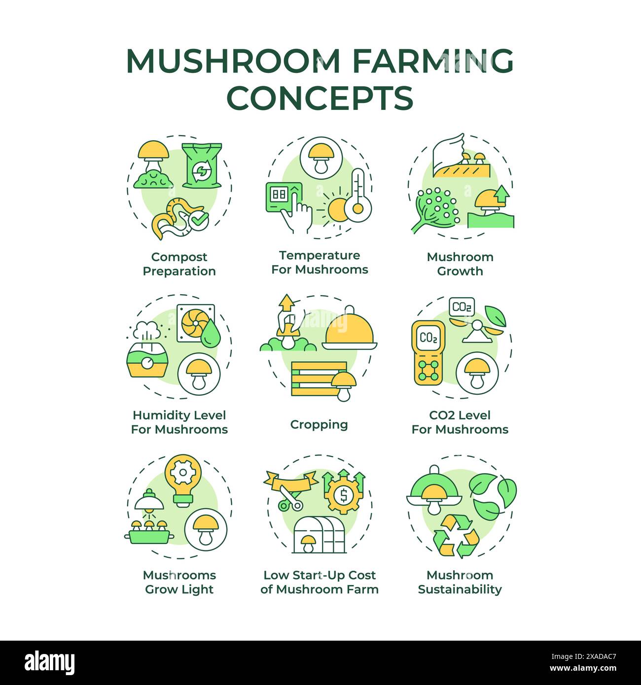 Mushroom farming multi color concept icons Stock Vector Image & Art - Alamy