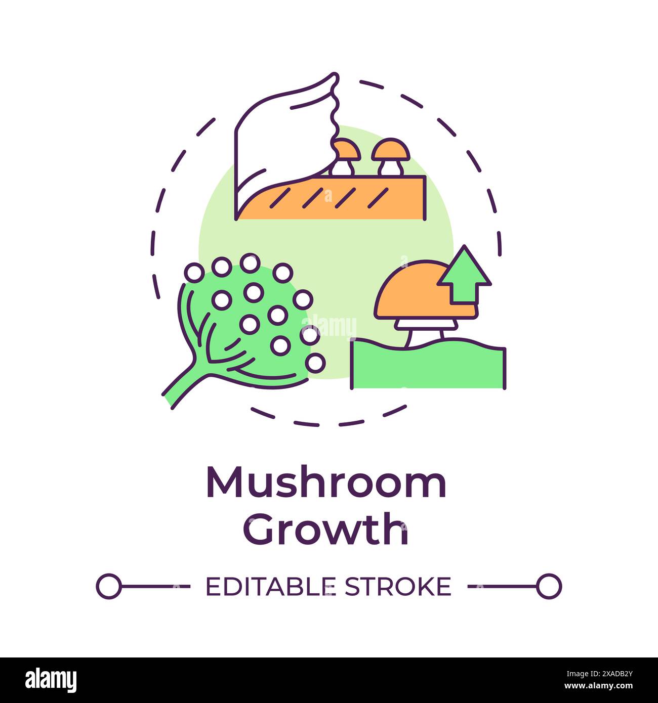 Mushroom growth multi color concept icon Stock Vector Image & Art - Alamy