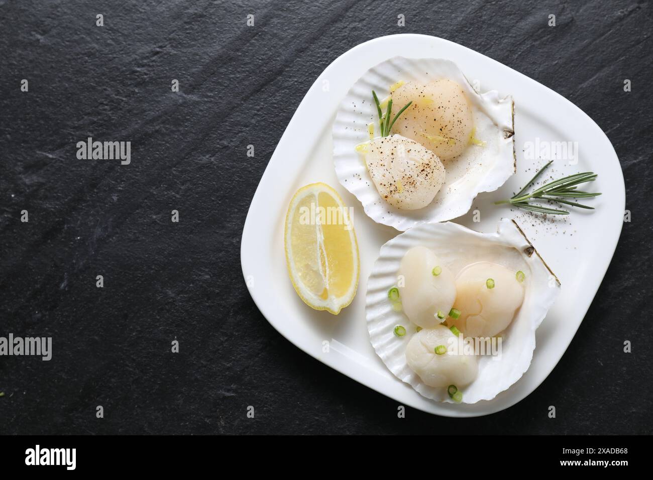 Raw scallops with green onion, rosemary, lemon and shells on dark ...