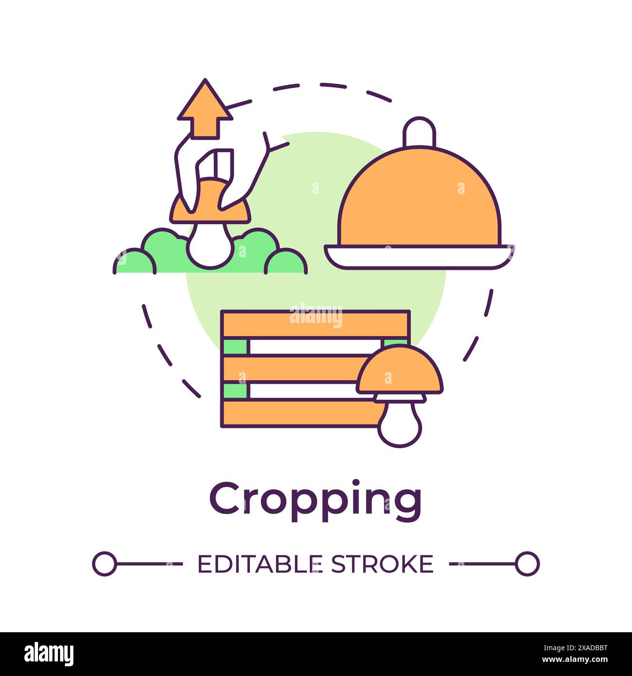 Cropping multi color concept icon Stock Vector Image & Art - Alamy