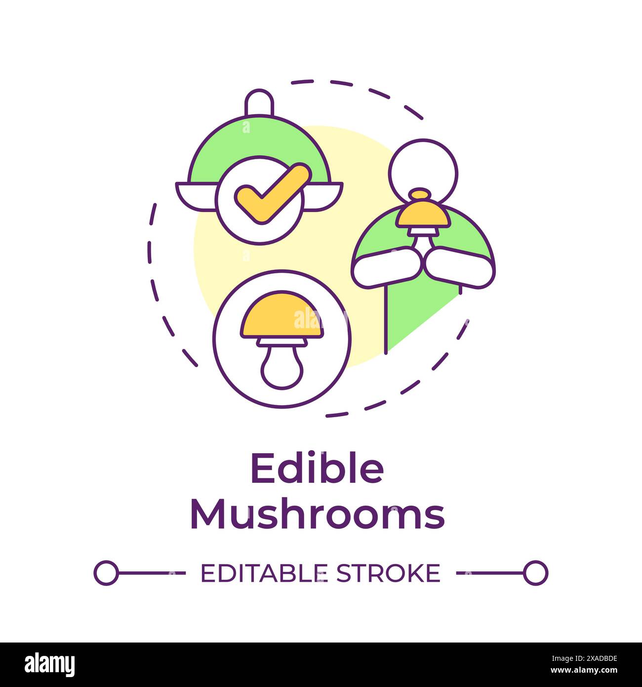 Edible mushrooms multi color concept icon Stock Vector Image & Art - Alamy