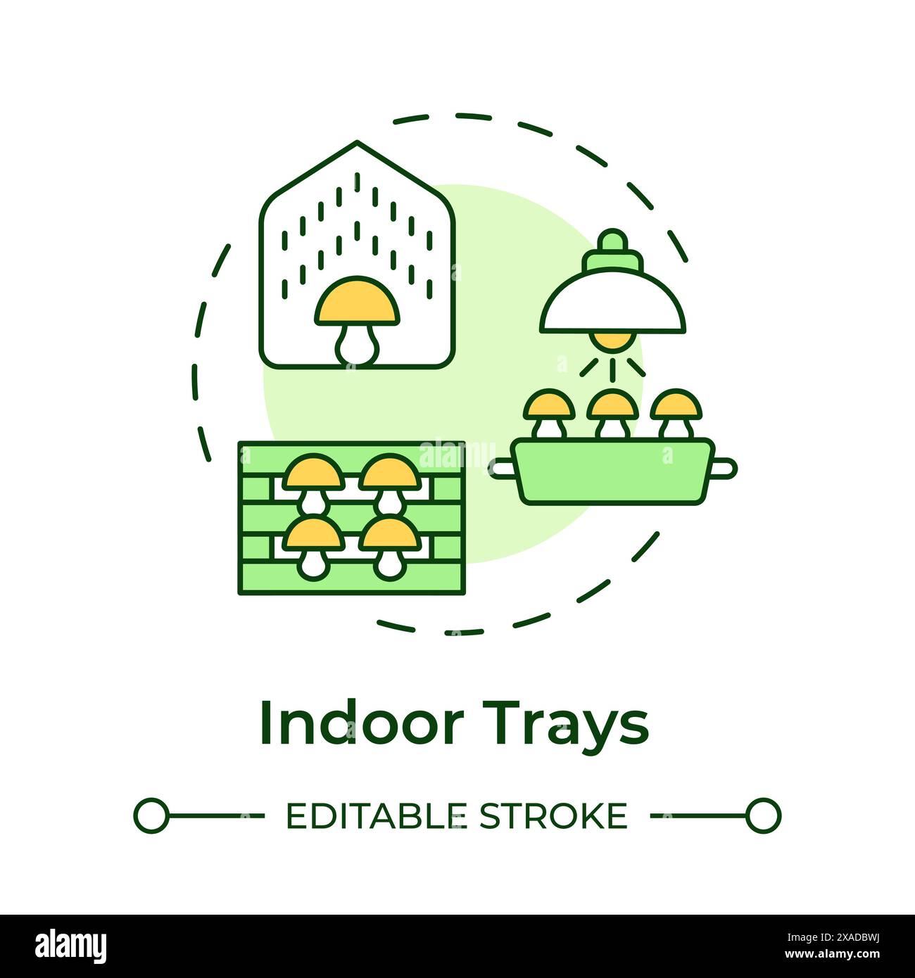 Indoor trays multi color concept icon Stock Vector Image & Art - Alamy