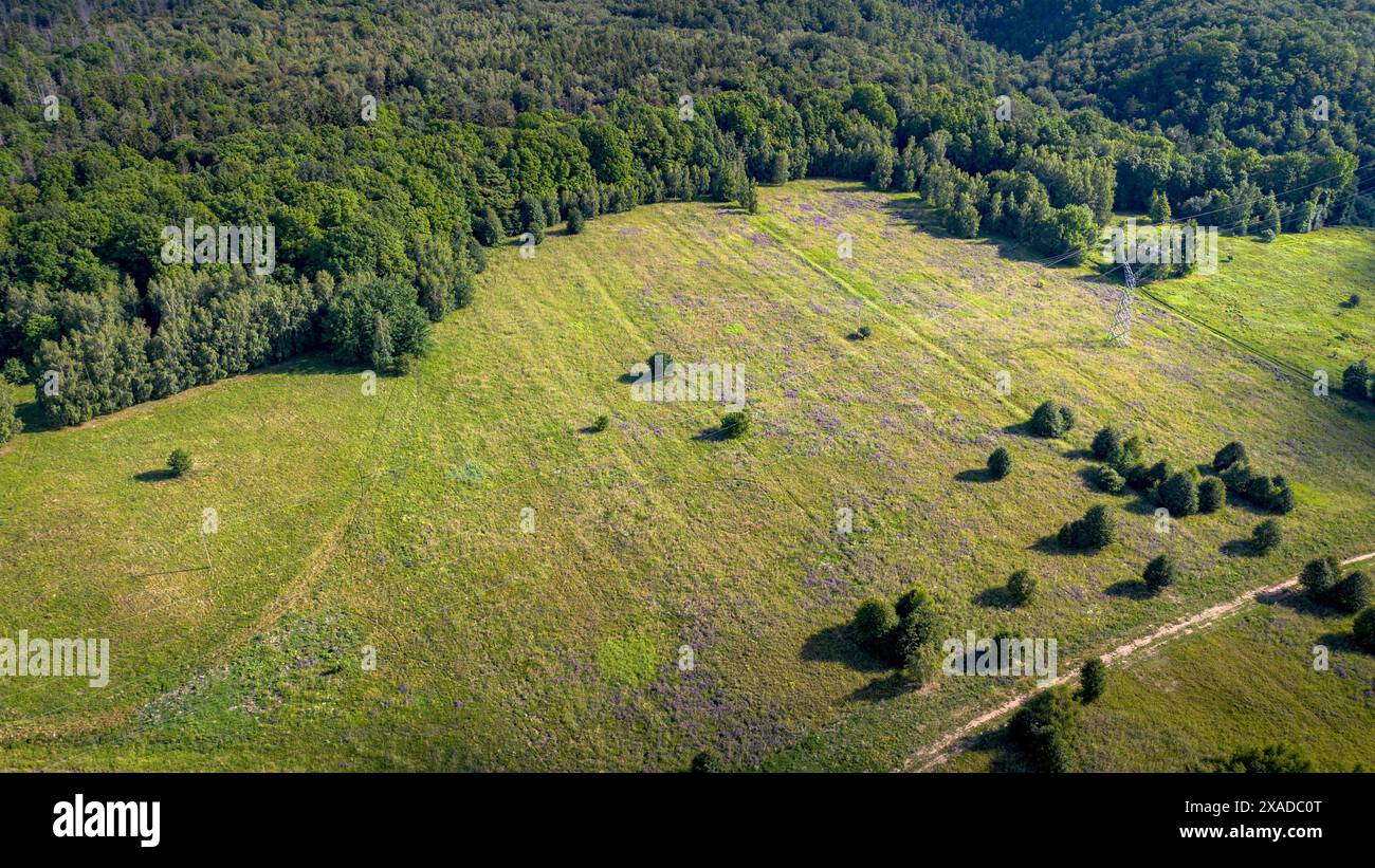 Aerial View of Forested Hillside and Meadow Stock Photo - Alamy
