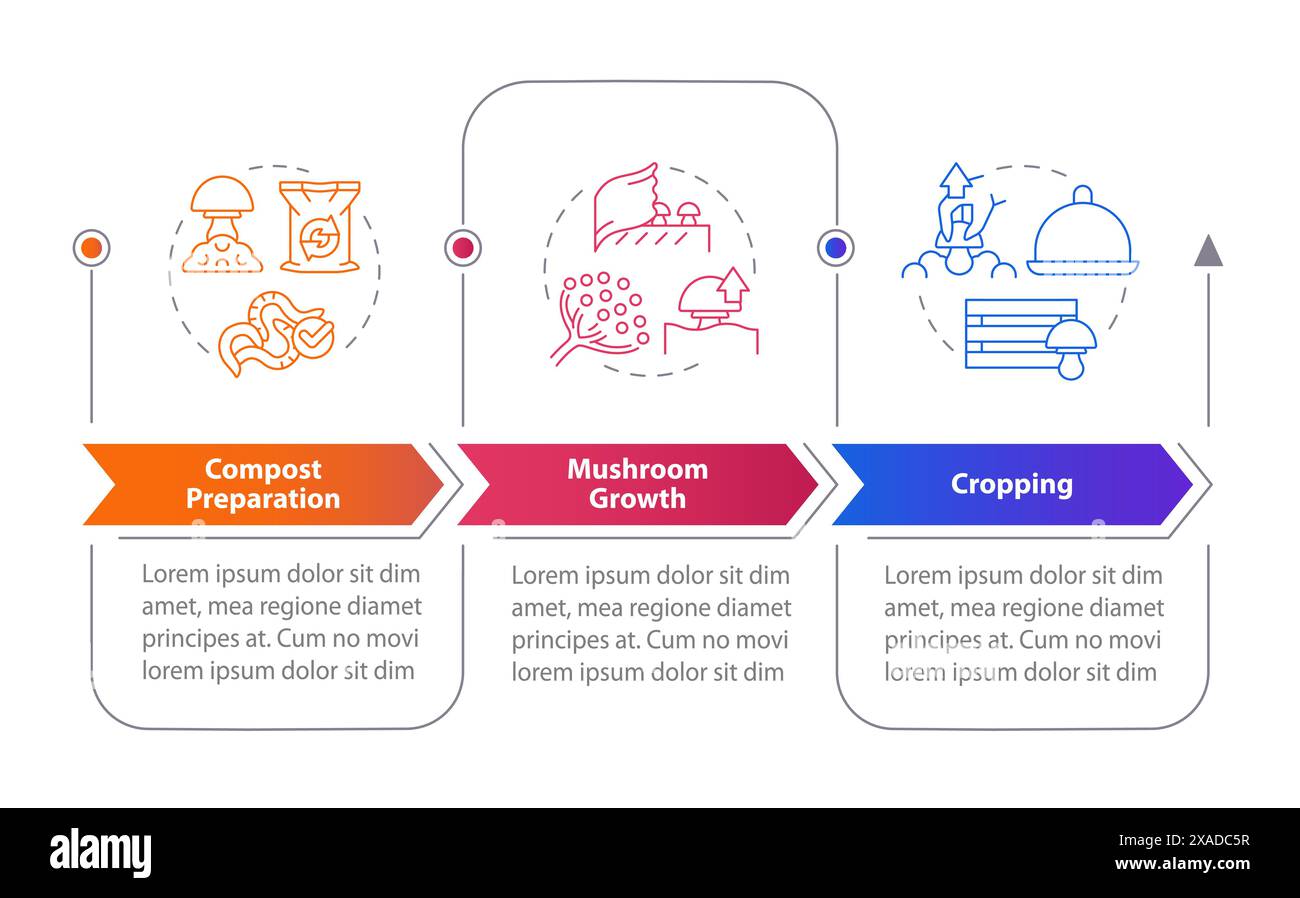 Indoor mushroom farming rectangle infographic template Stock Vector ...