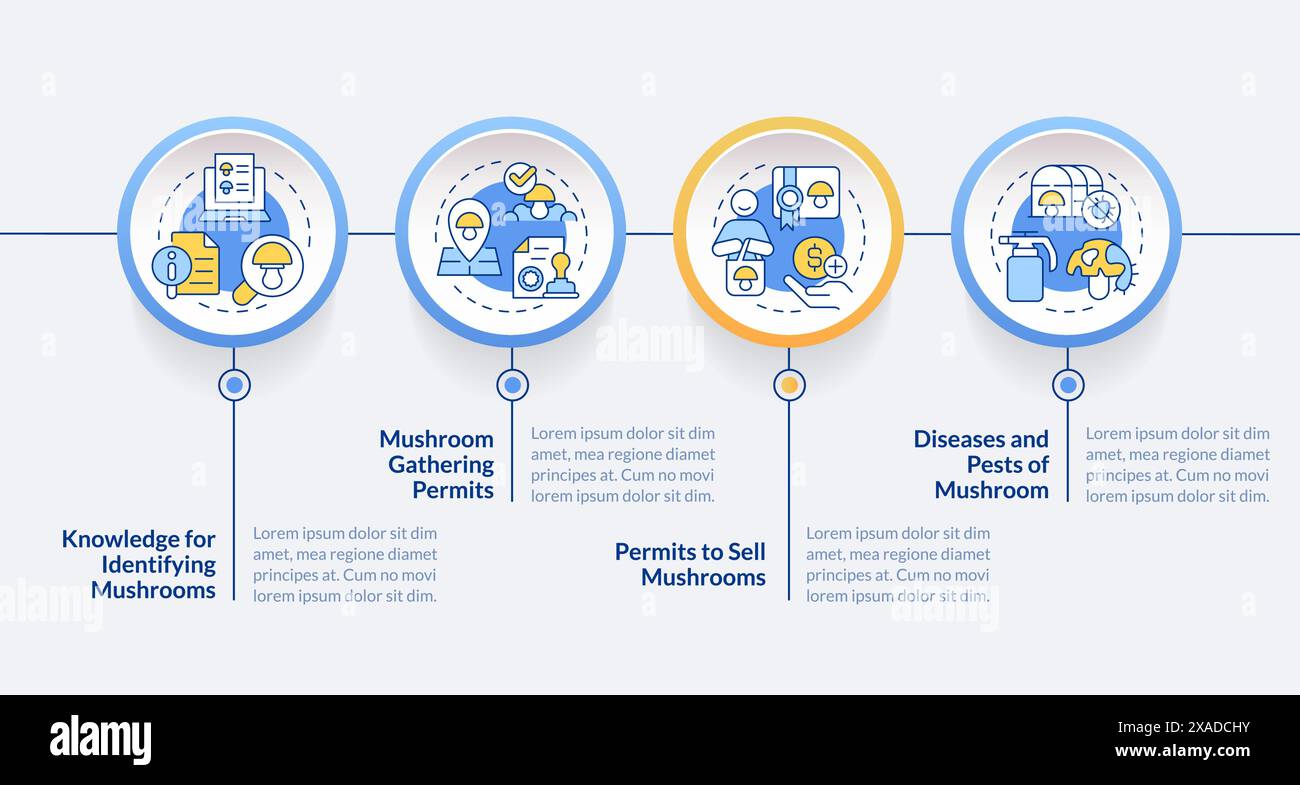 Mushroom management and regulation blue circle infographic template ...