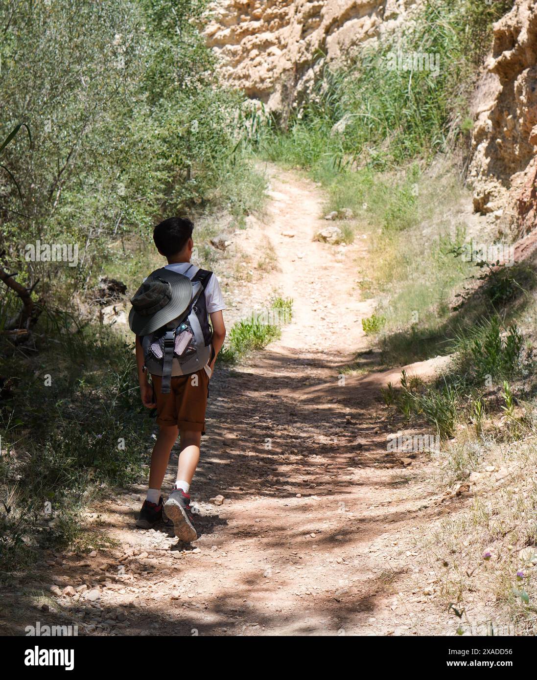 teenage boy hiking in the mountains. adolescent boy walking on mountain ...