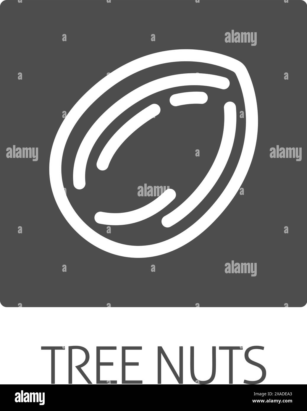 Tree Nut Almond Food Allergen Allergy Icon Concept Stock Vector Image ...