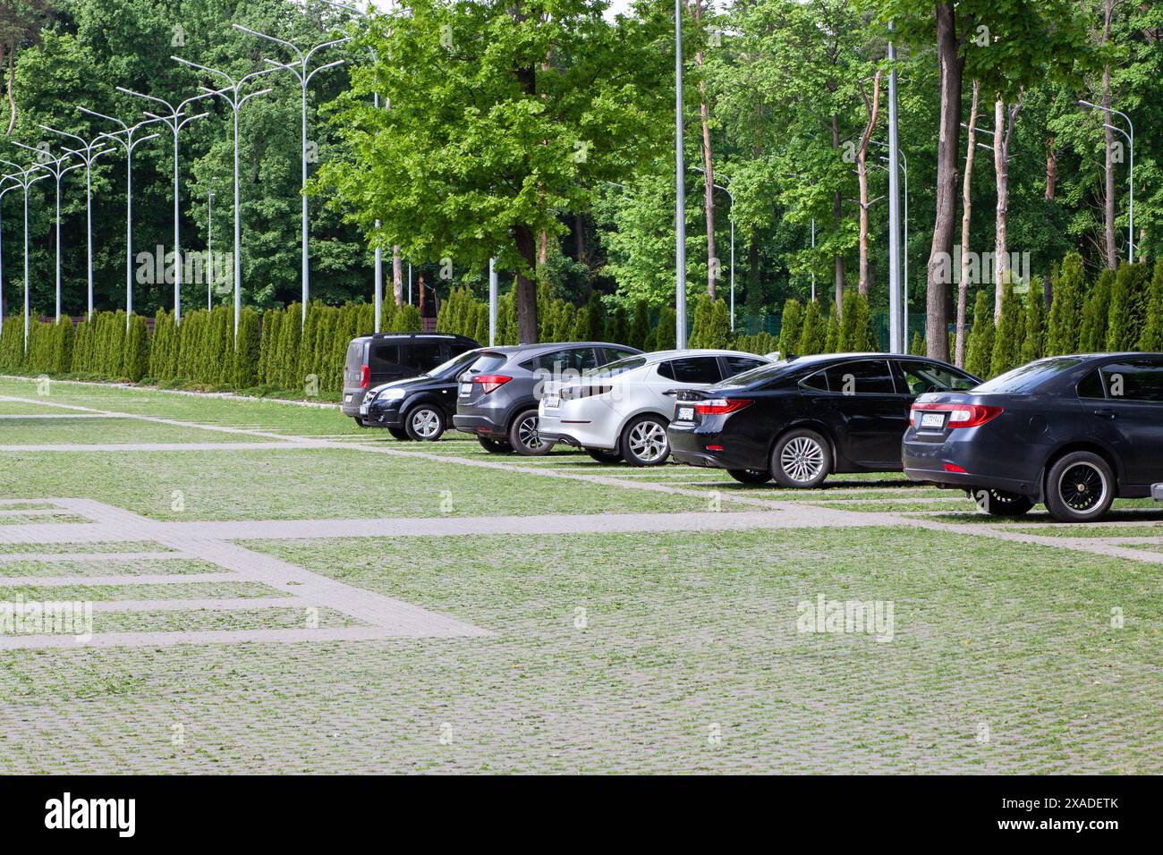 Cars parked in a green eco-friendly parking lot surrounded by trees and ...