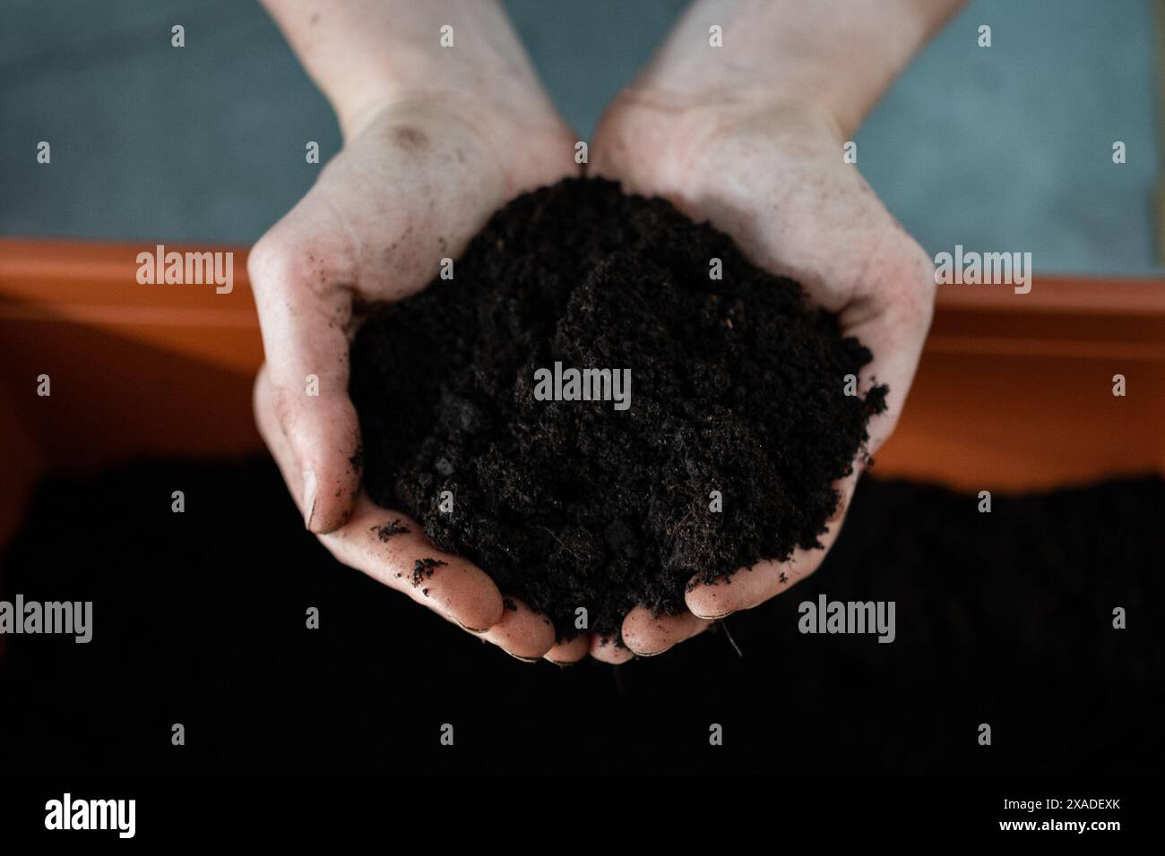 Hands Holding Rich Organic Soil Stock Photo - Alamy