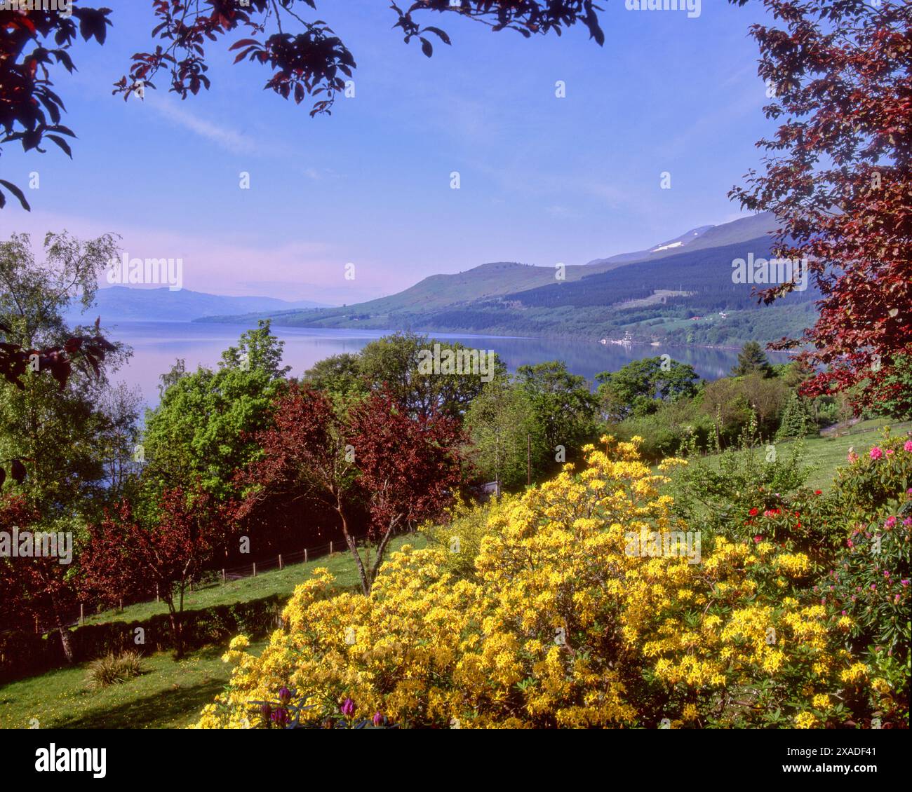 Springtime scene on Loch Tay, Perthshire Stock Photo - Alamy