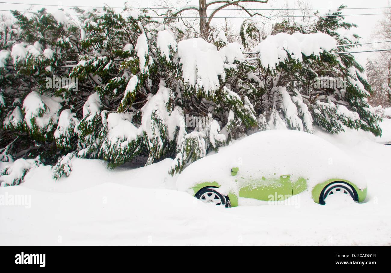 A lime green car is covered in over a foot of snowfall with evergreen ...