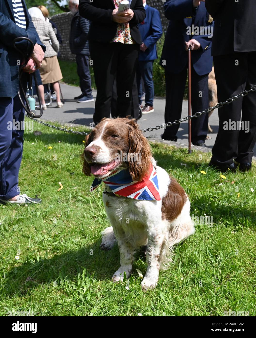 Brighton UK 6th June 2024 - Local residents and visitors at the 80th ...