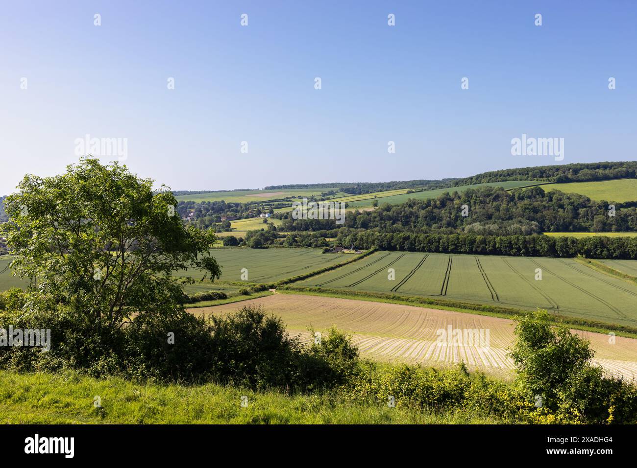 Blackmore vales hi-res stock photography and images - Alamy