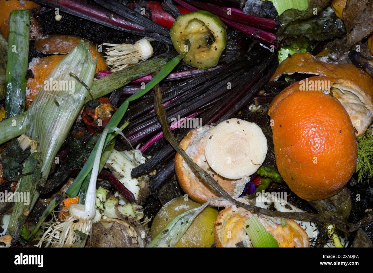 Inside Compost Bin Stock Photo - Alamy