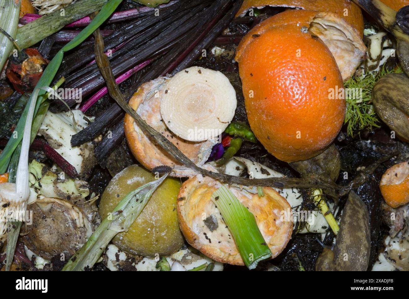 Inside Compost Bin Stock Photo - Alamy