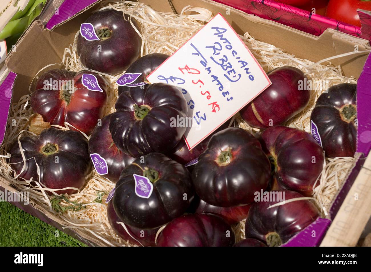 Antociano hi-res stock photography and images - Alamy