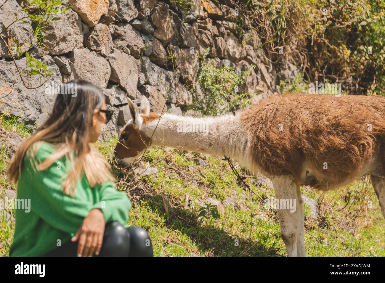 A woman traveling through the peruvian andes. Canta. Lima, Peru Stock ...