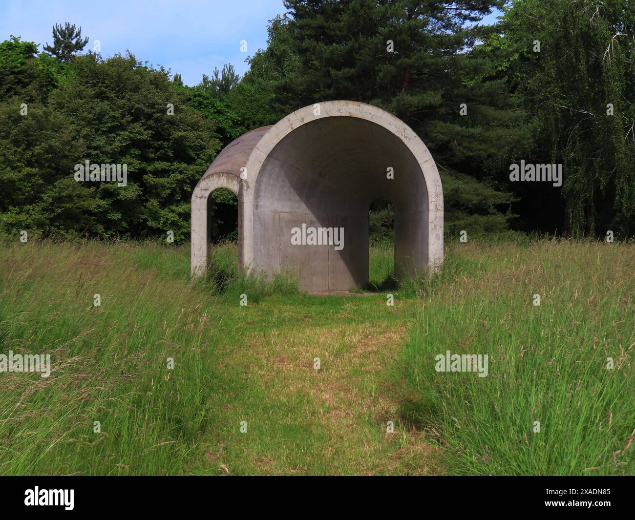 ...die Lauscher eines Riesen...da hoert man sprichwoertlich die Maeuse ...