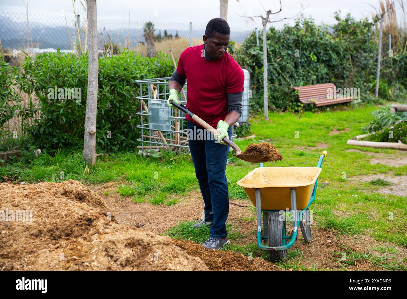 African man digging manure to fertilize soil Stock Photo - Alamy