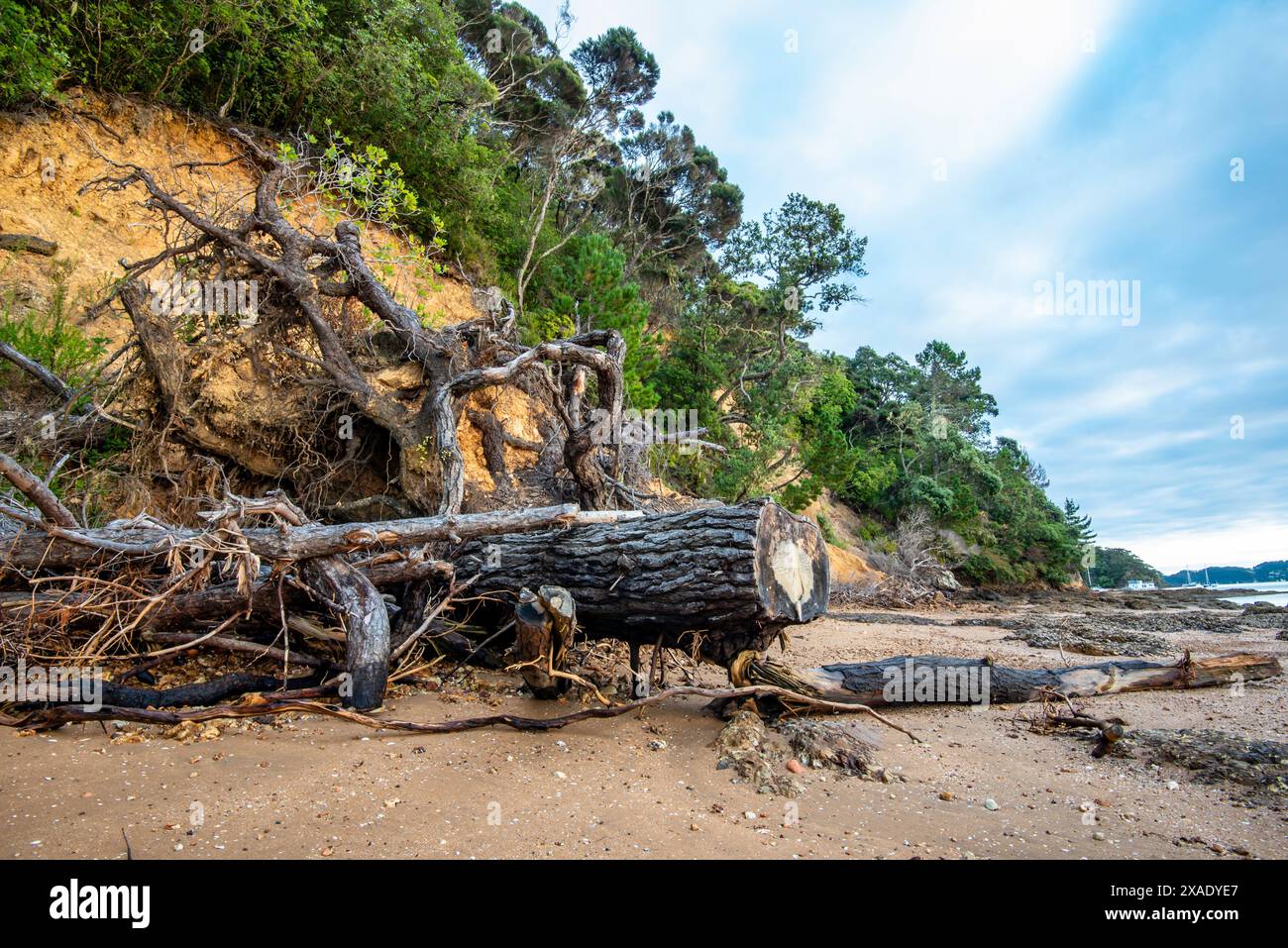 Cyclone gabrielle storm damage hi-res stock photography and images - Alamy