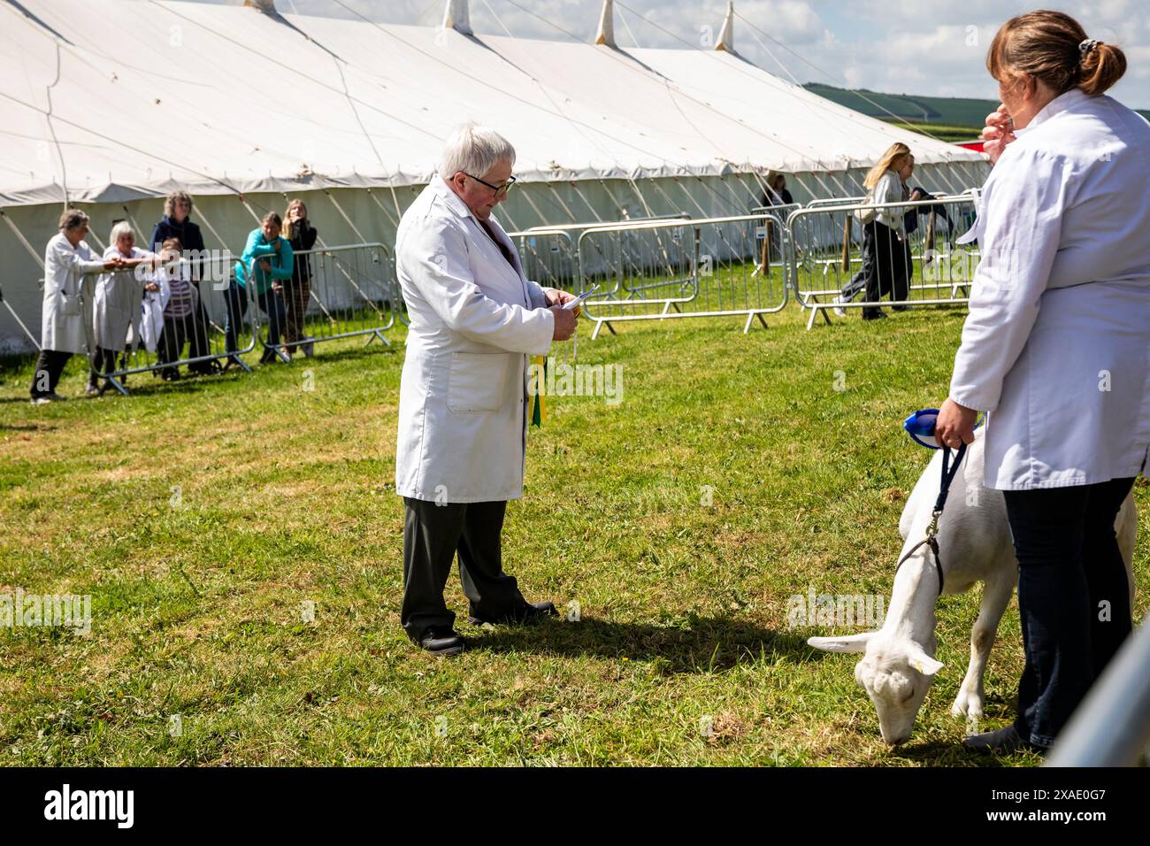 Wadebridge, Cornwall,6th June 2024, The Royal Cornwall Show is the ...