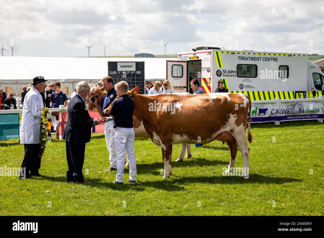 Wadebridge, Cornwall,6th June 2024, The Royal Cornwall Show is the ...