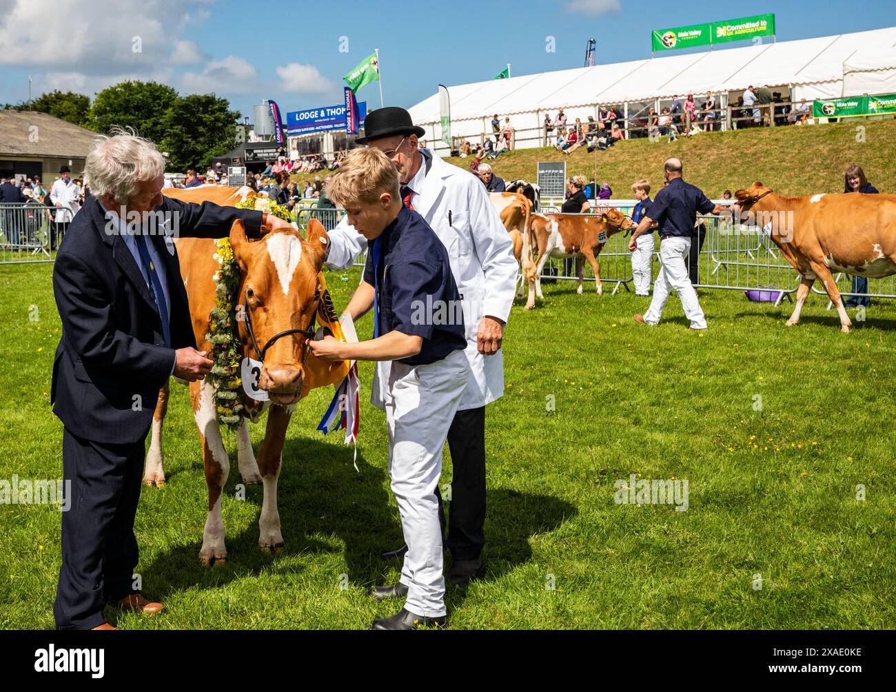 Wadebridge,Cornwall,6th June 2024,The Royal Cornwall Show is the County ...