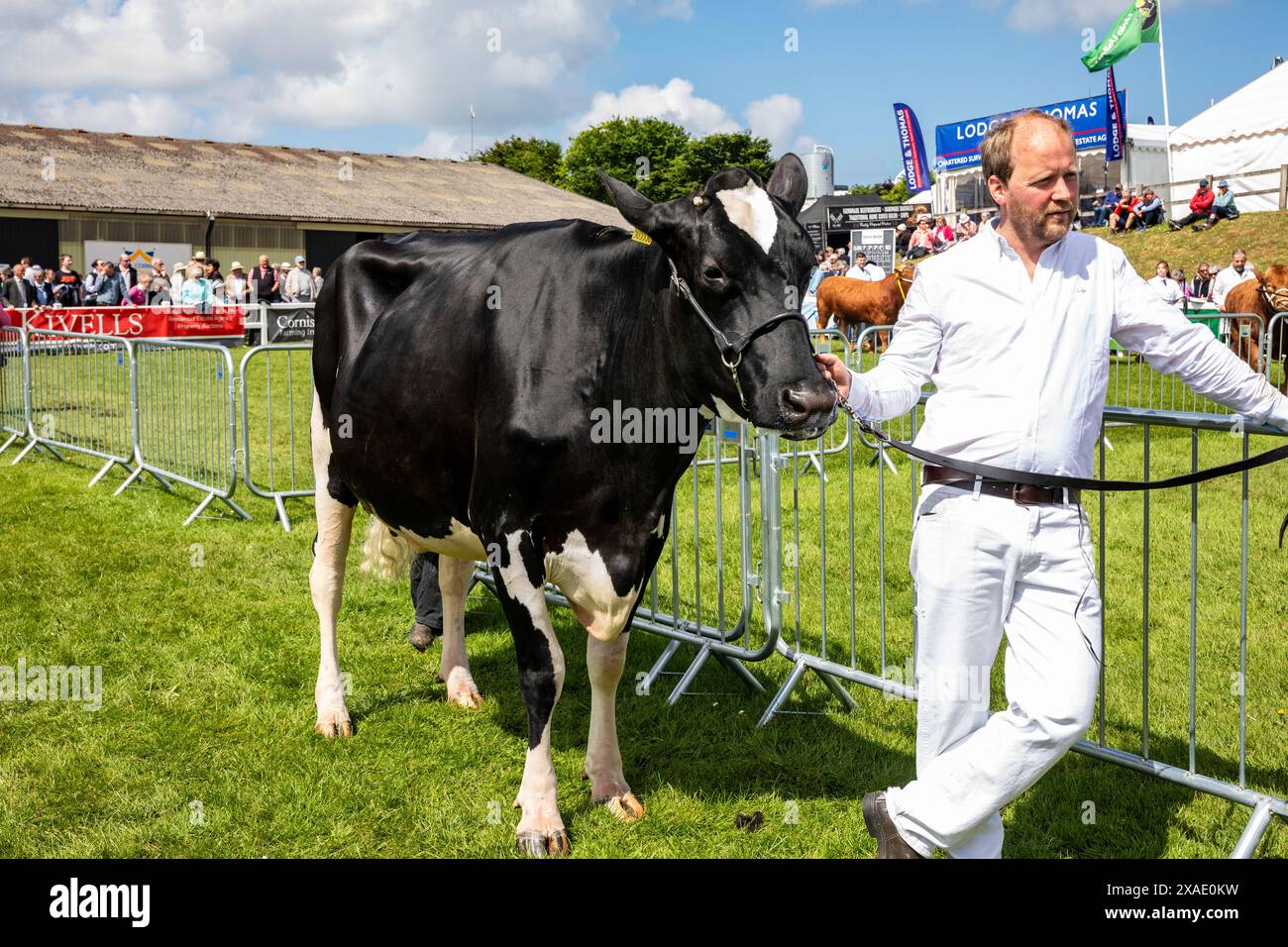 Wadebridge,Cornwall,6th June 2024,The Royal Cornwall Show is the County ...