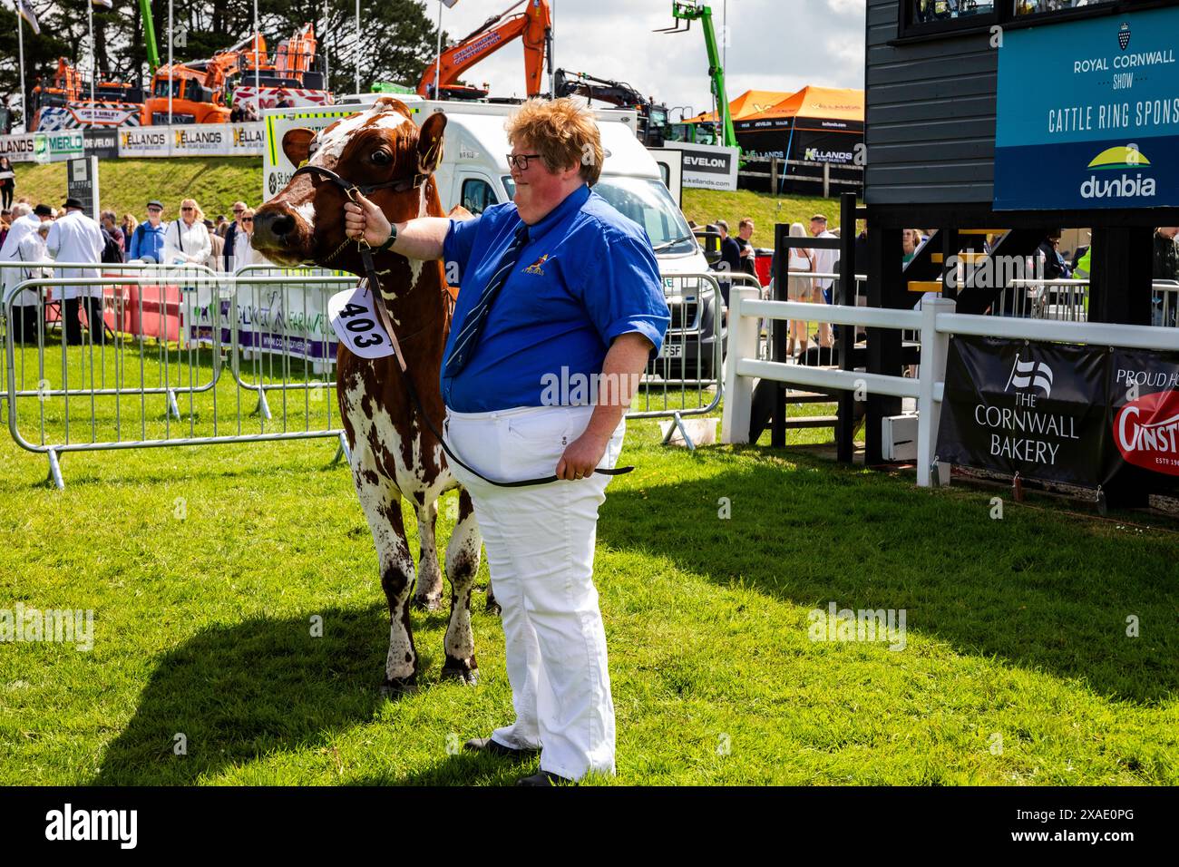 Wadebridge, Cornwall,6th June 2024, The Royal Cornwall Show is the ...