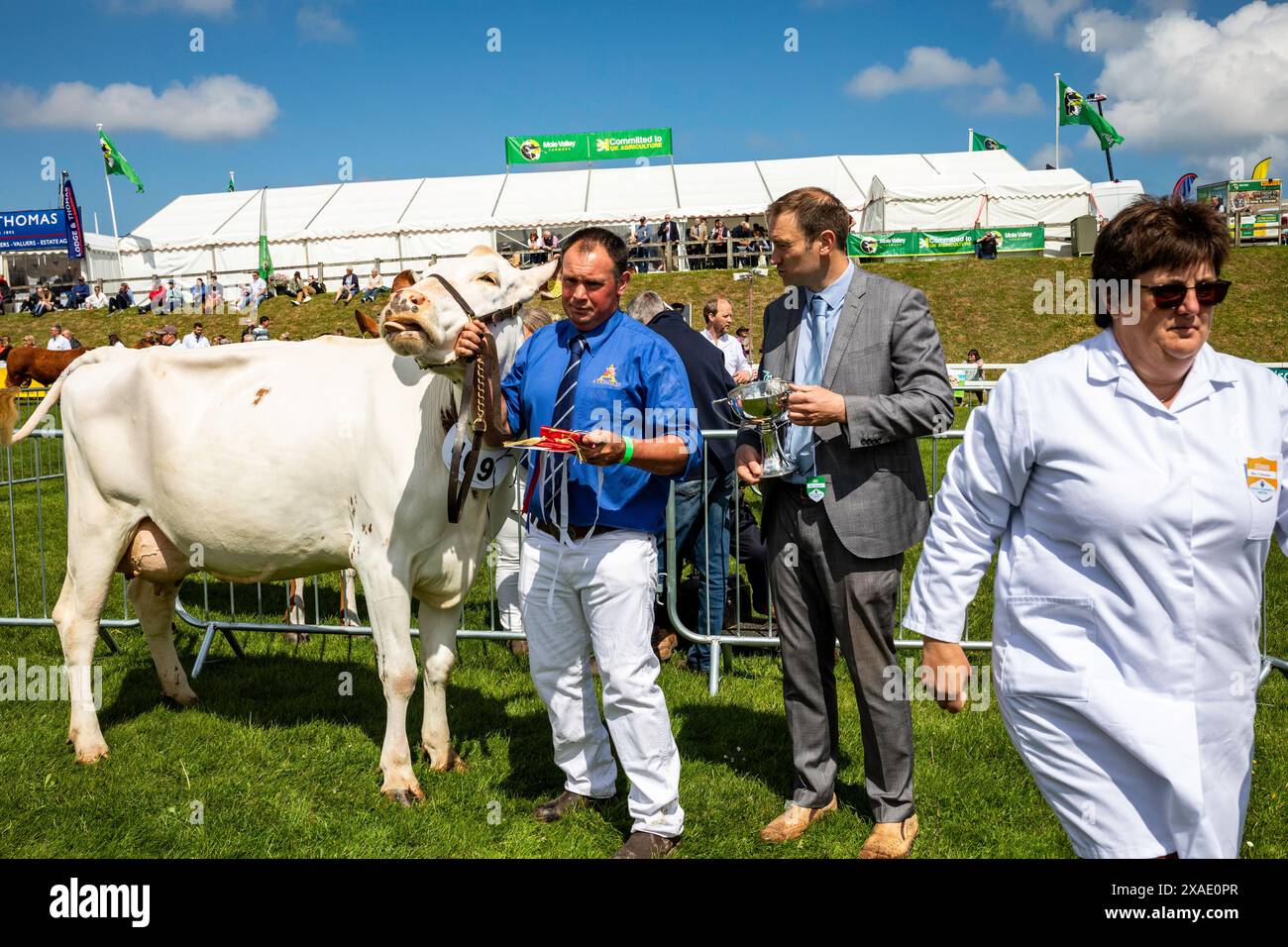 Wadebridge, Cornwall,6th June 2024, The Royal Cornwall Show is the ...