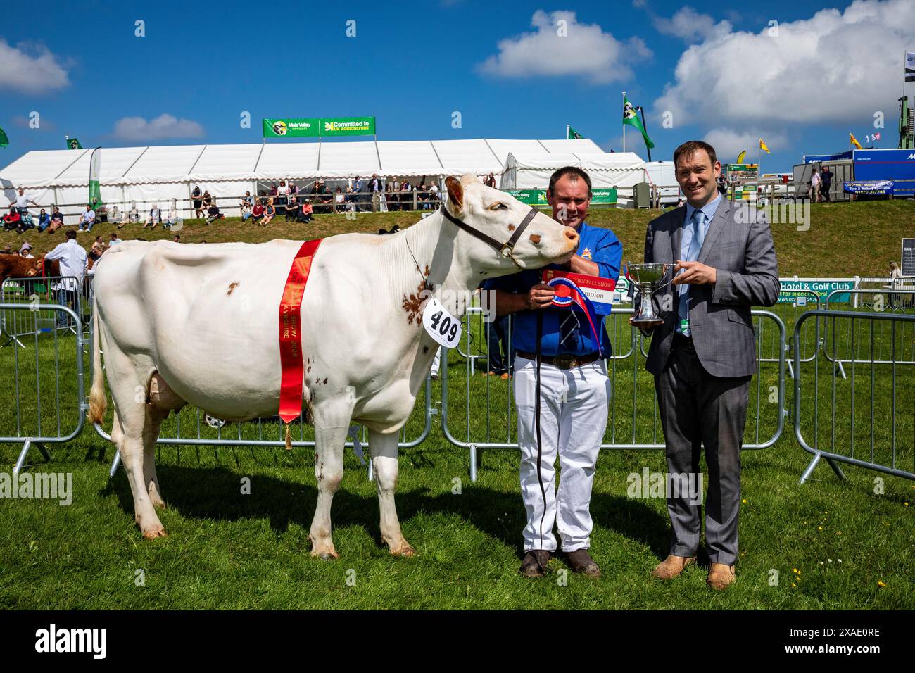Wadebridge,Cornwall,6th June 2024,The Royal Cornwall Show is the County ...