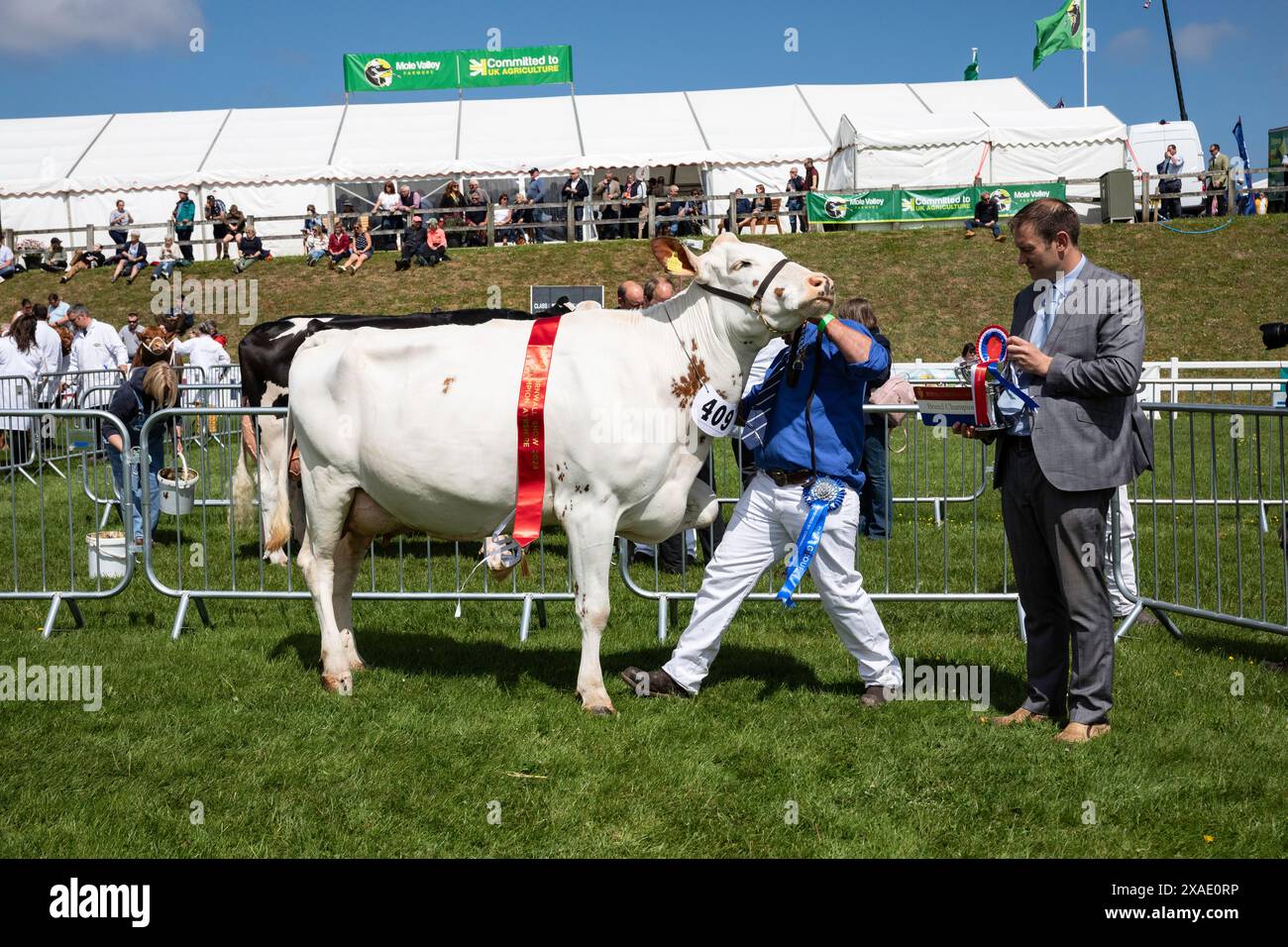 Wadebridge,Cornwall,6th June 2024,The Royal Cornwall Show is the County ...