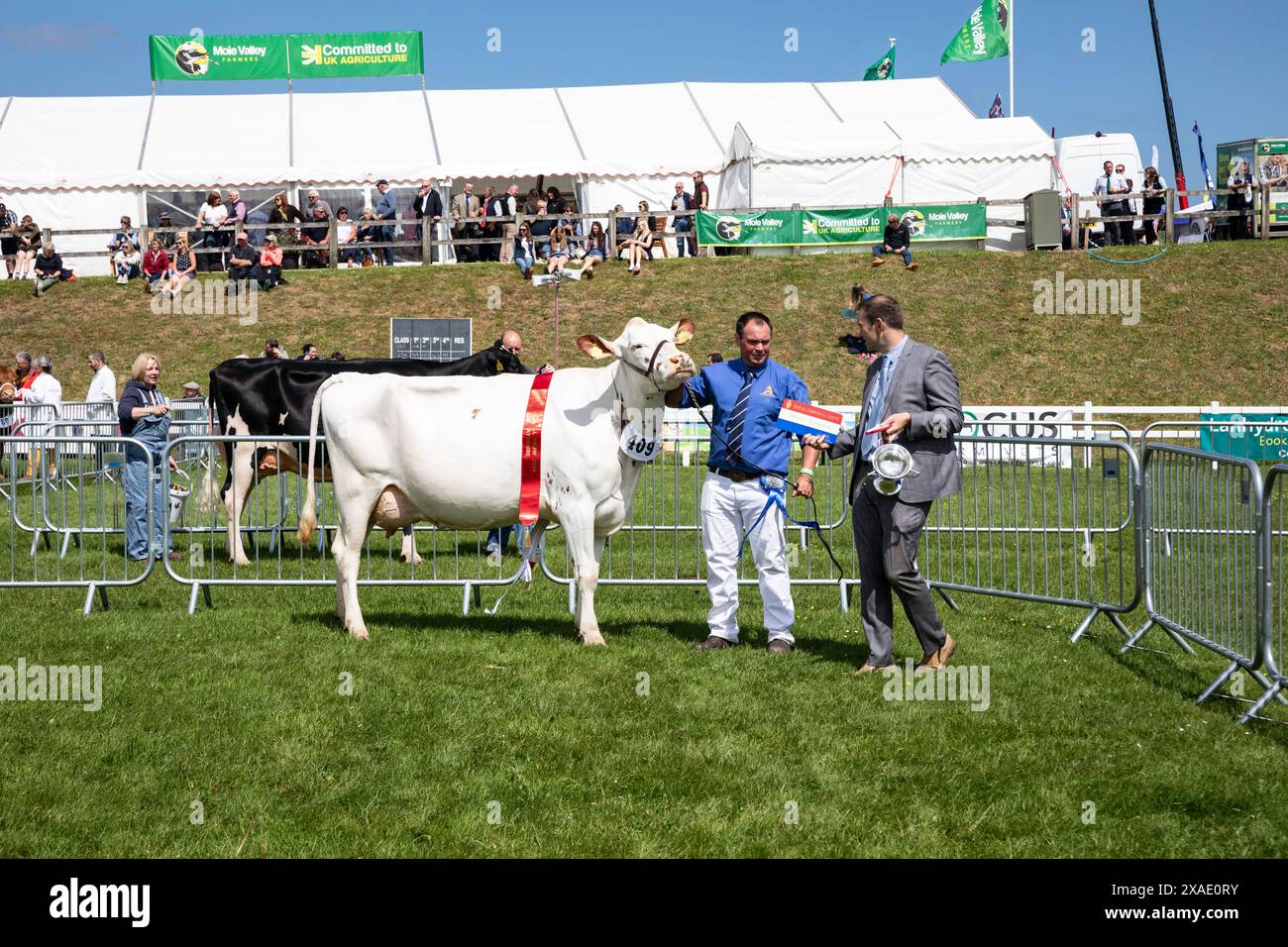 Wadebridge, Cornwall,6th June 2024, The Royal Cornwall Show is the ...