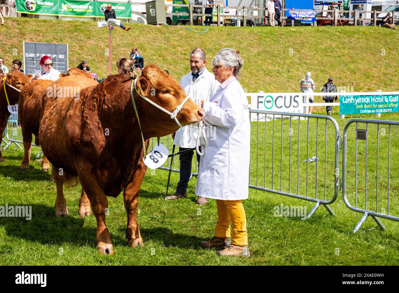 Wadebridge, Cornwall,6th June 2024, The Royal Cornwall Show is the ...