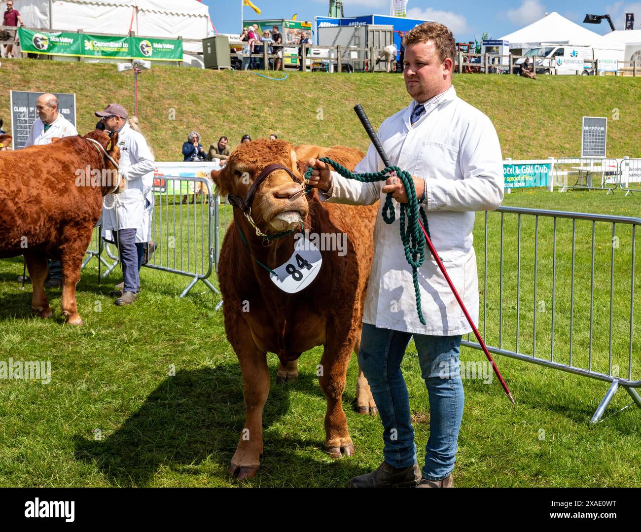 Wadebridge, Cornwall,6th June 2024, The Royal Cornwall Show is the ...