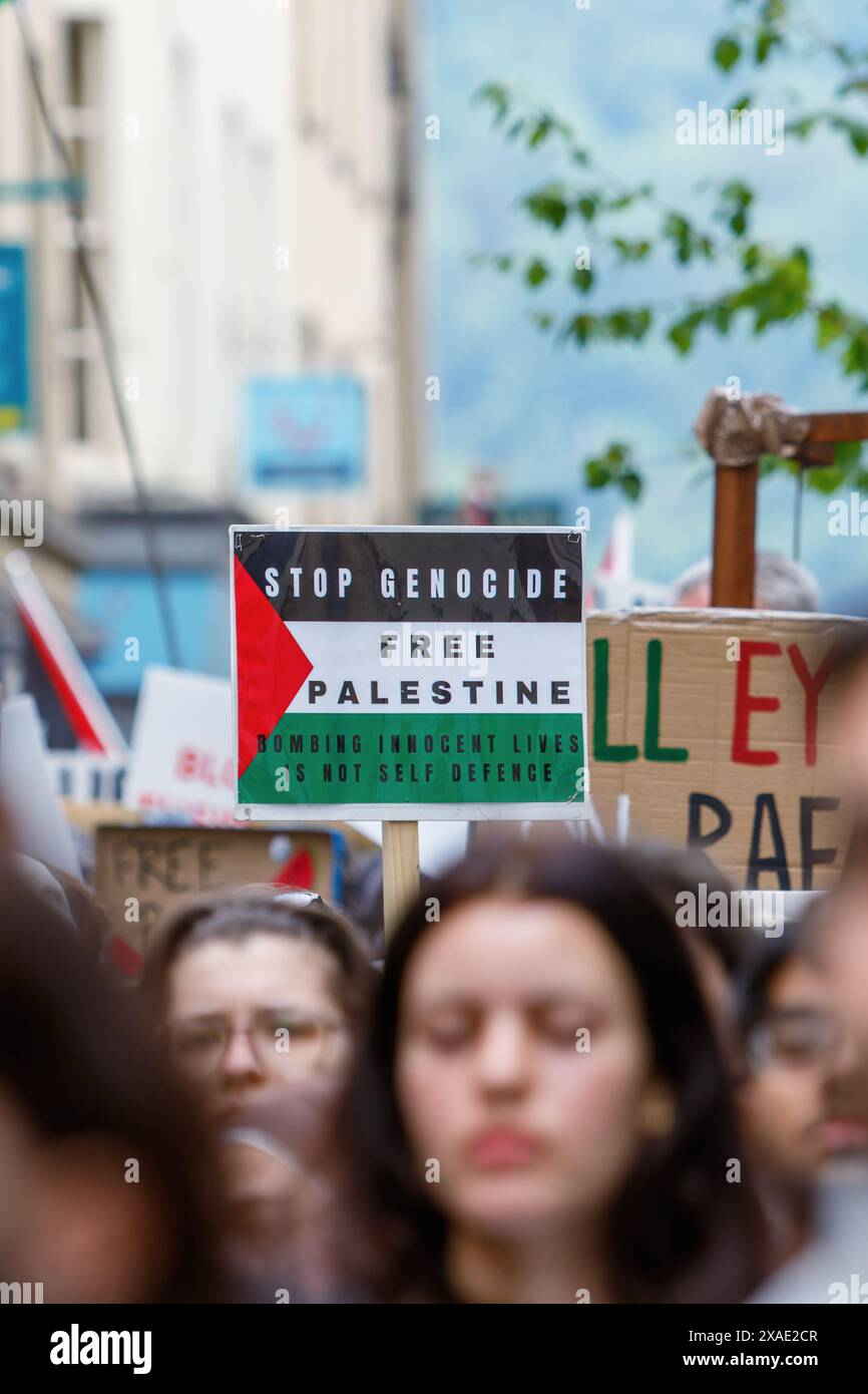 Pro-Palestinian supporters carrying placards and waving Palestinian ...